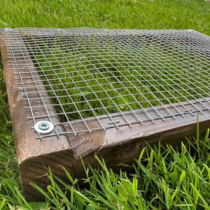 Repurposed Wood “chicken Grazing Box” - Etsy