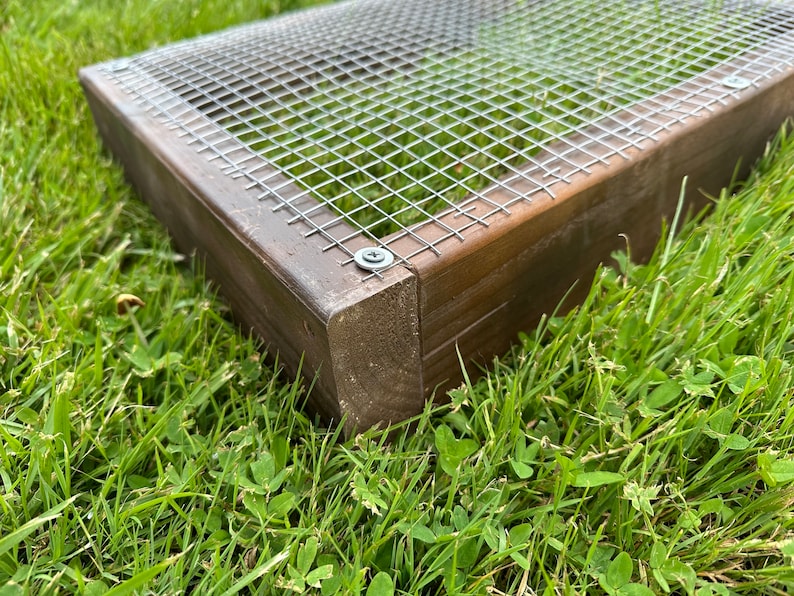 Repurposed Wood chicken Grazing Box - Etsy