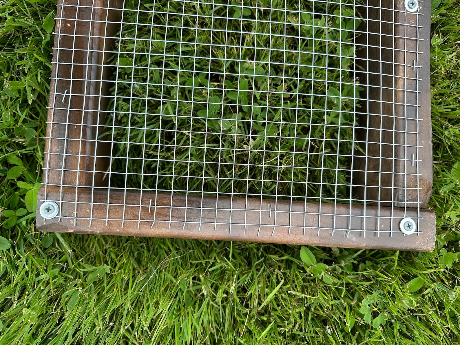 Repurposed Wood “chicken Grazing Box” - Etsy