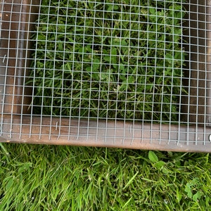 Repurposed Wood “chicken Grazing Box” - Etsy