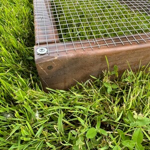 Repurposed Wood “chicken Grazing Box” - Etsy