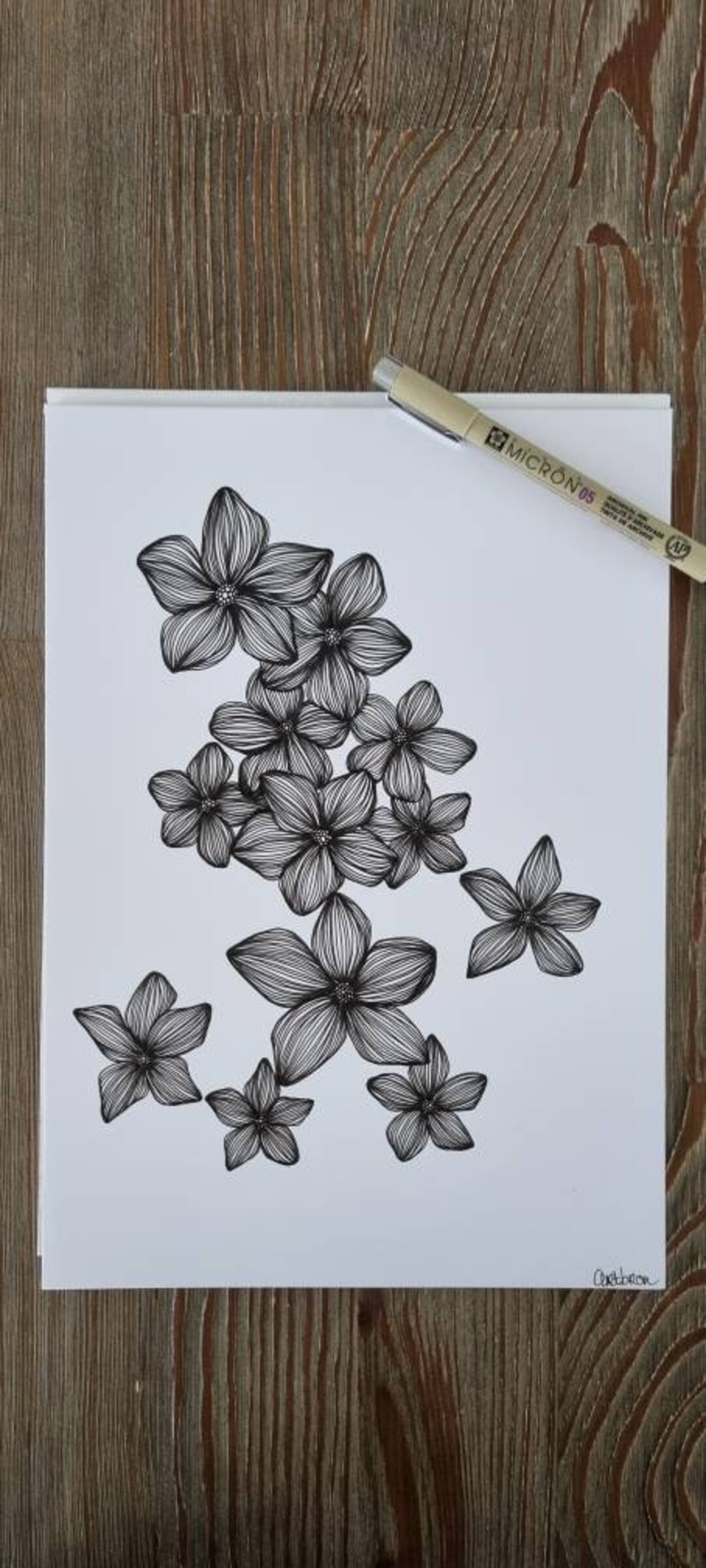 Pencil Drawing Of Abstract Flowers