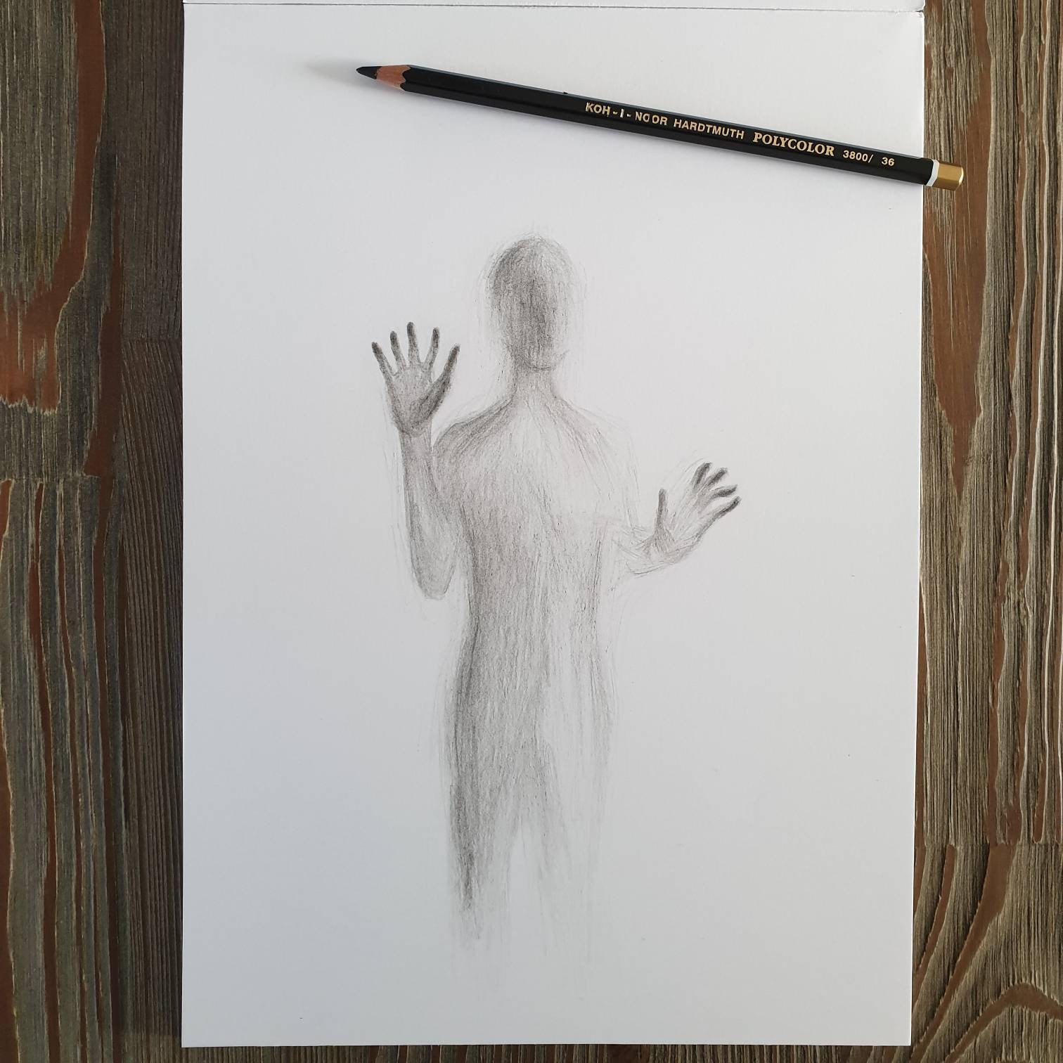 Hand-made drawing with frame Art & Collectibles Pen & Ink Drawing ...