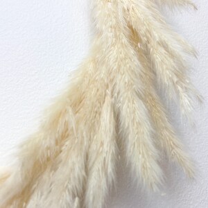 Cream Pampas Grass Boho Hoop Wreath for Indoors - Etsy