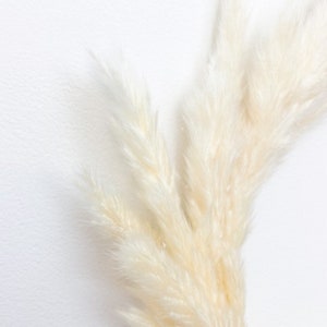 Cream Pampas Grass Boho Hoop Wreath for Indoors - Etsy