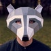 Raccoon Mask | DIY Paper Mask, Printable Template, Papercraft, 3D Mask ...