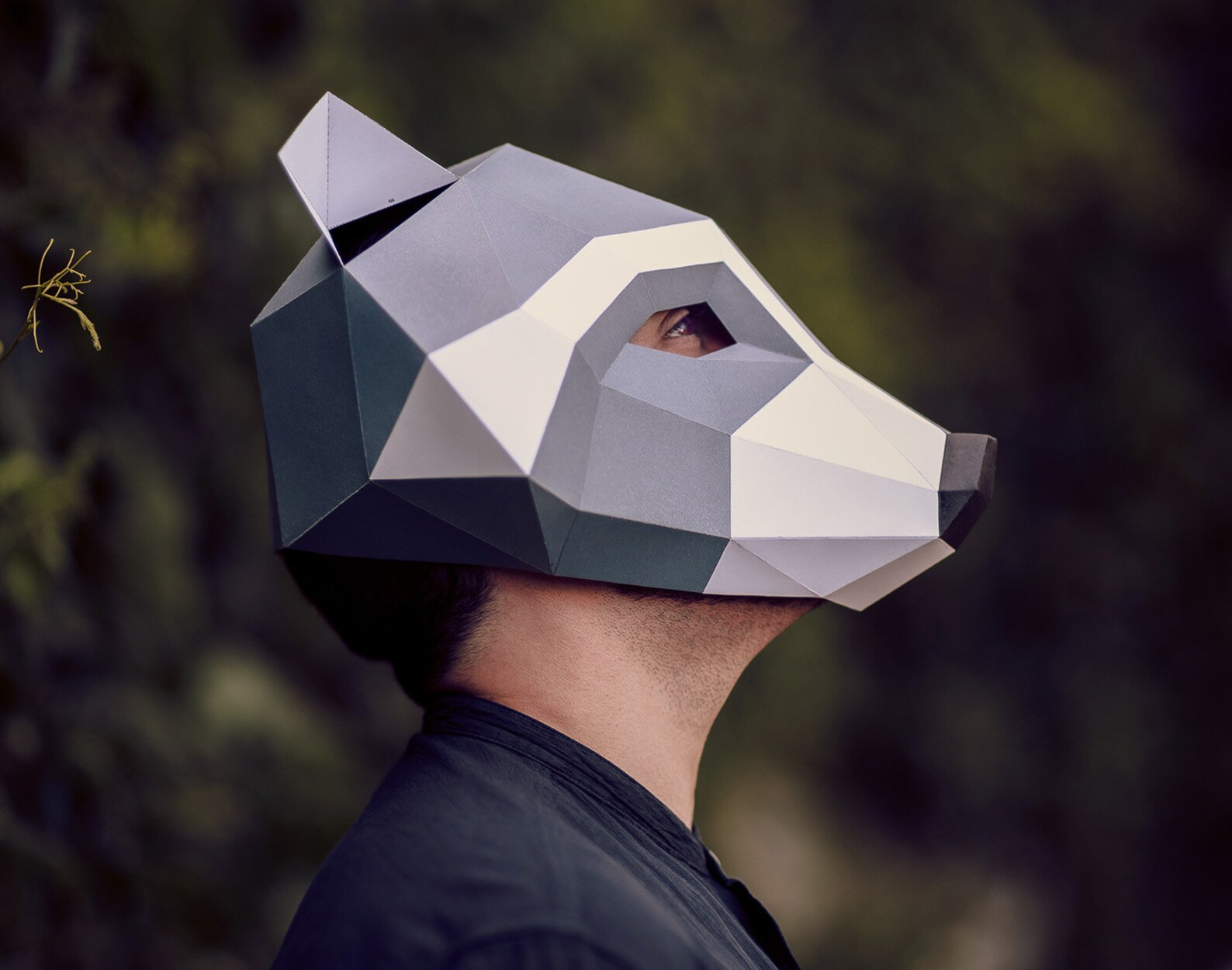 Raccoon Mask | DIY Paper Mask, Printable Template, Papercraft, 3D Mask ...