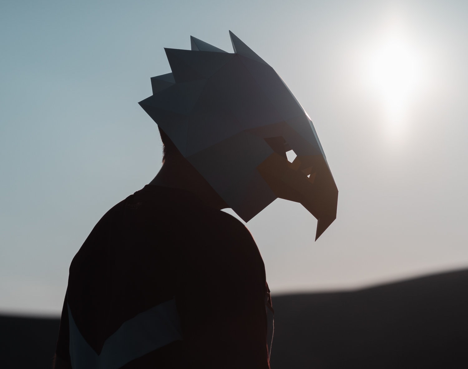 Eagle Mask Falcon Mask DIY Paper Mask Printable Template | Etsy