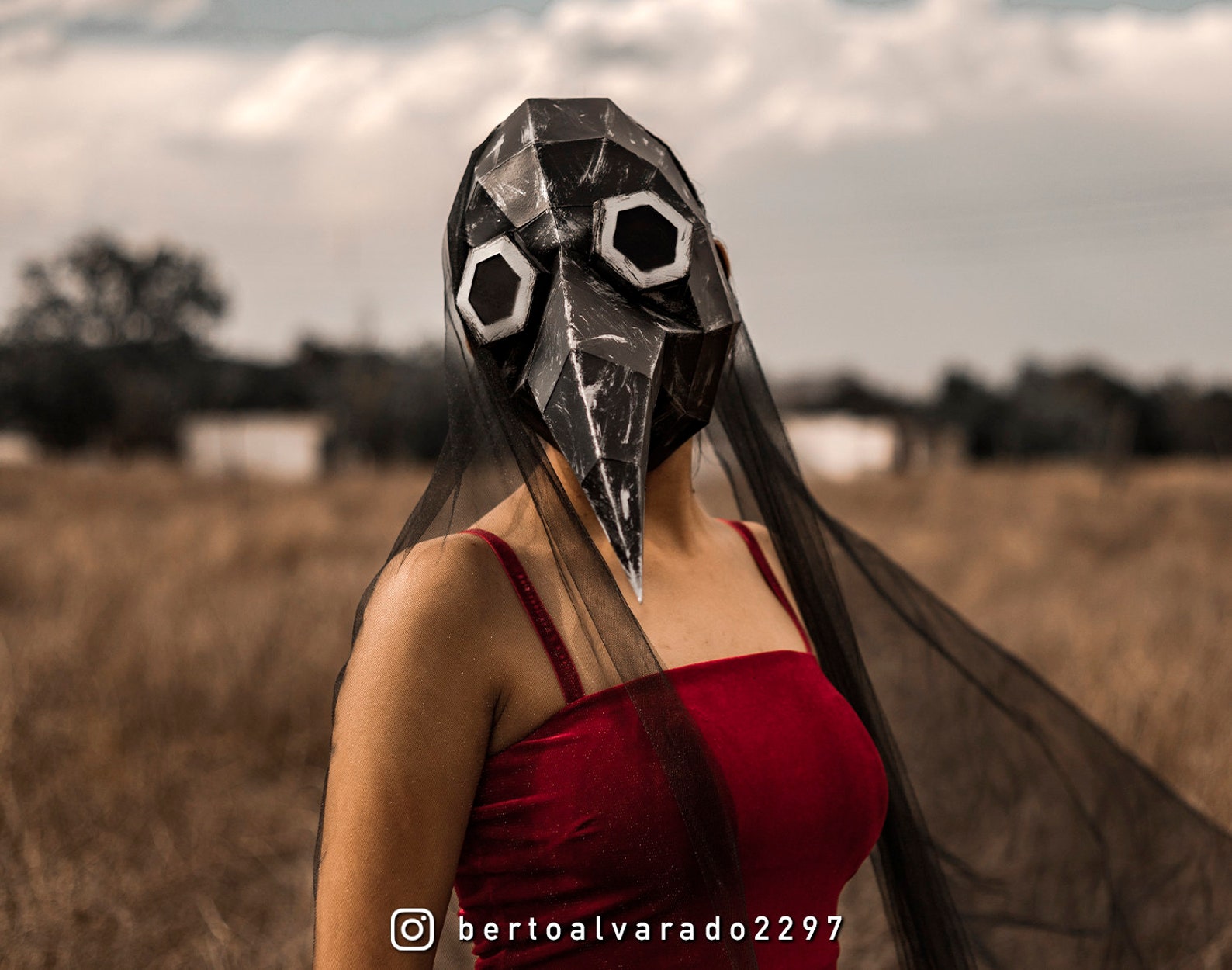 Plague Doctor Mask DIY Paper Mask Printable Template - Etsy Canada