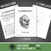 Zombie Mask | DIY Paper Mask, Printable Template, Papercraft, 3D Mask ...