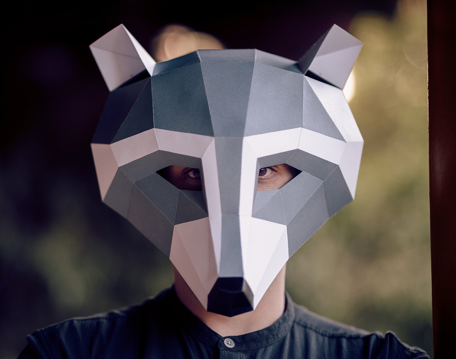 Raccoon Mask | DIY Paper Mask, Printable Template, Papercraft, 3D Mask ...