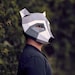 Raccoon Mask | DIY Paper Mask, Printable Template, Papercraft, 3D Mask ...