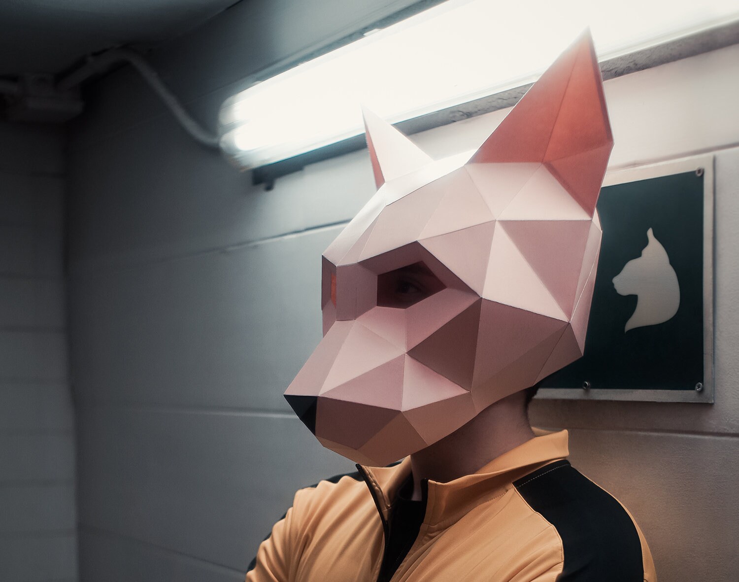 Sphynx Cat Mask DIY Paper Mask Printable Template - Etsy UK