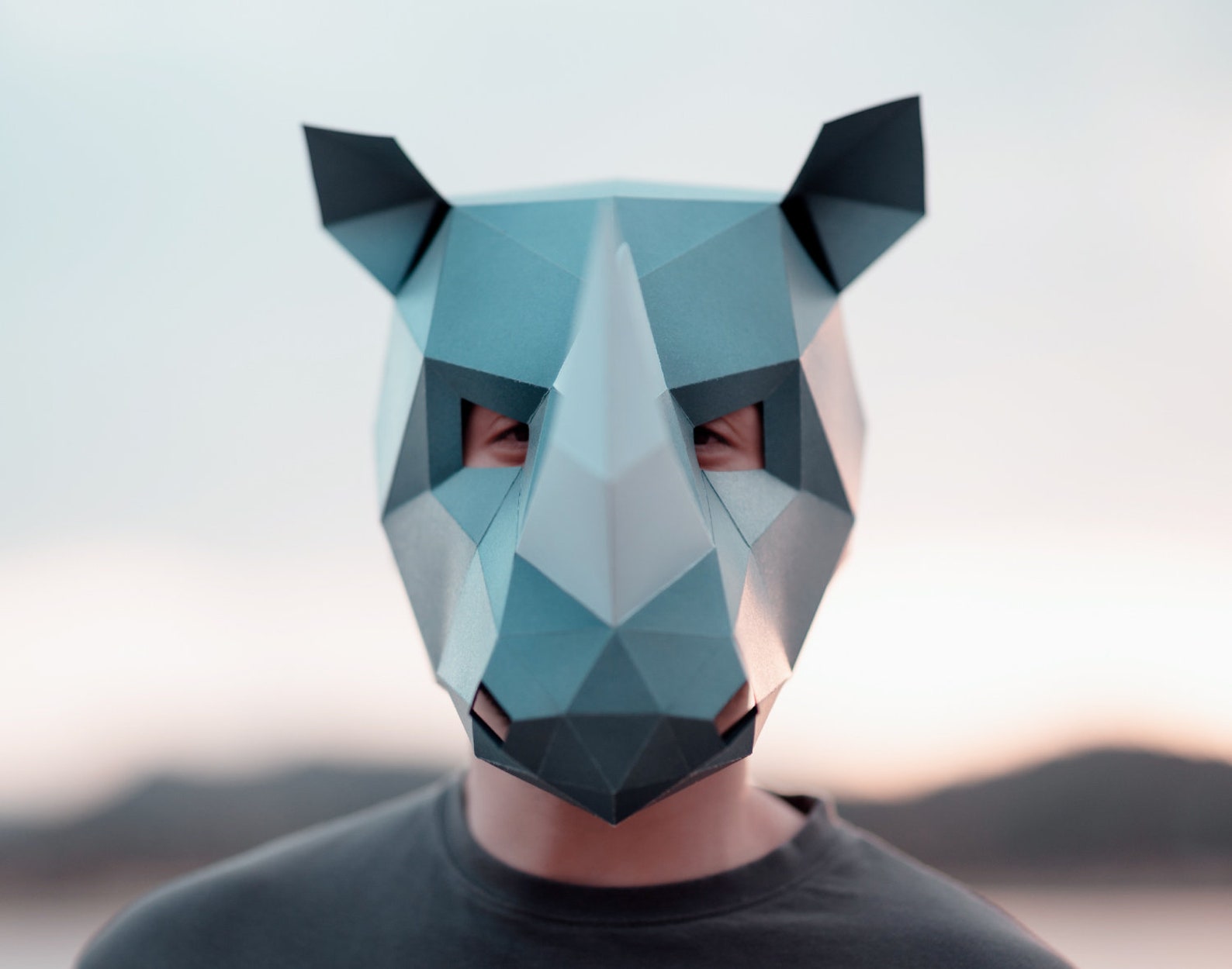 Rhino Mask | DIY Paper Mask, Printable Template, Papercraft, 3D Mask ...