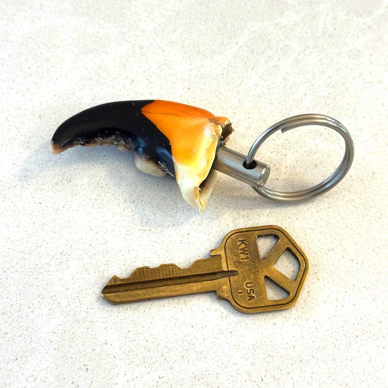 ConcreteMelange - Etsy