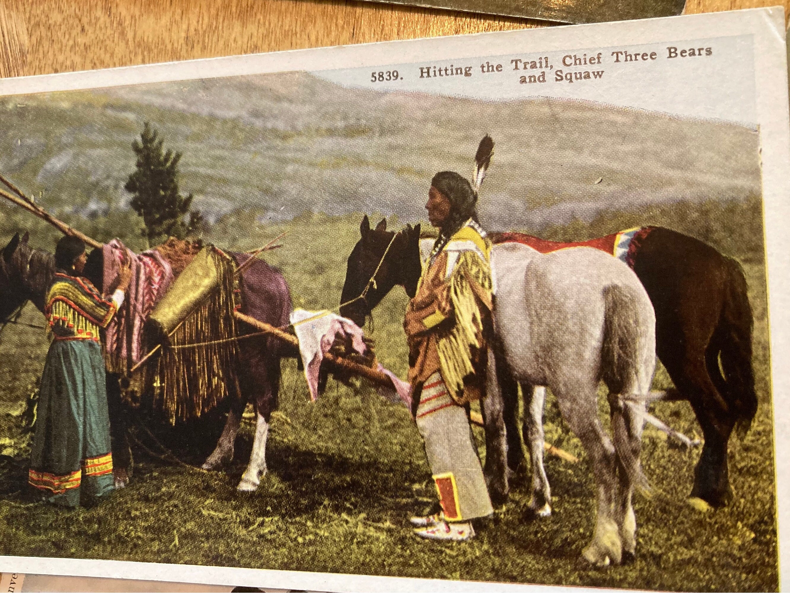 Native American Postcards - Etsy