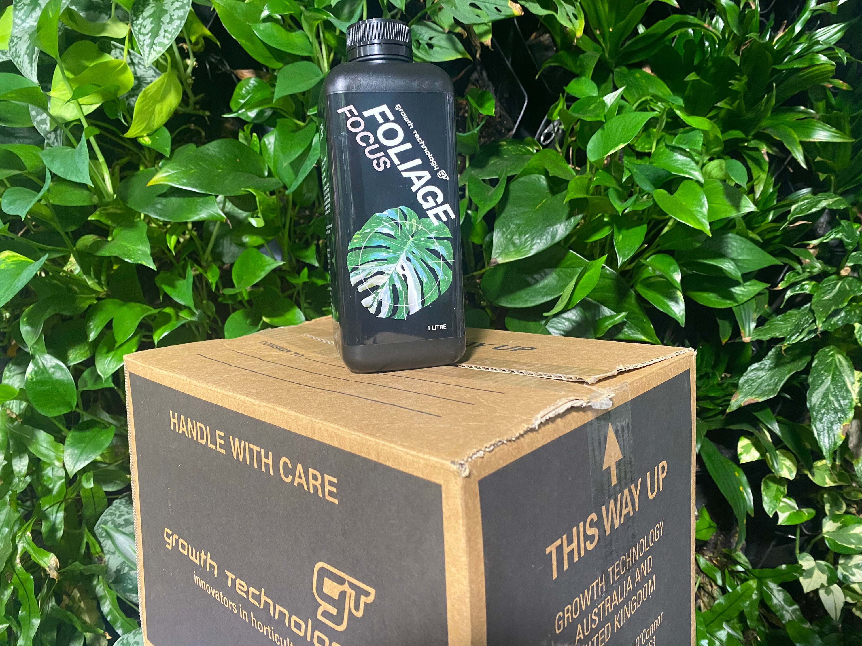 Case of X12 1L GT Foliage Focus Premium Plant Food for - Etsy