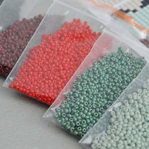 Bead Earrings Kit | Seed Bead DIY Project | for Beginner Pattern Fringe ...