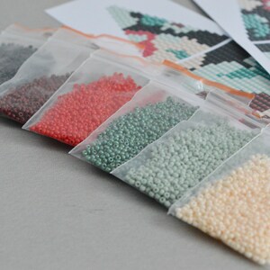 Bead Earrings Kit | Seed Bead DIY Project | for Beginner Pattern Fringe ...