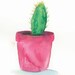 Watercolor Cactus in Pink Pot Painting by Bethany Kerr - Etsy