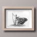Pencil Drawing of moth Playing the Harp by Bethany Kerr - Etsy