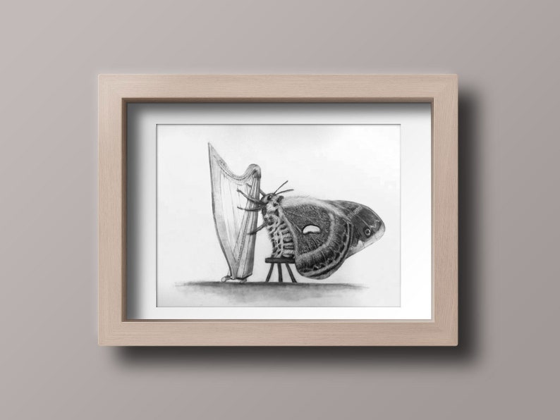 Pencil Drawing of moth Playing the Harp by Bethany Kerr - Etsy