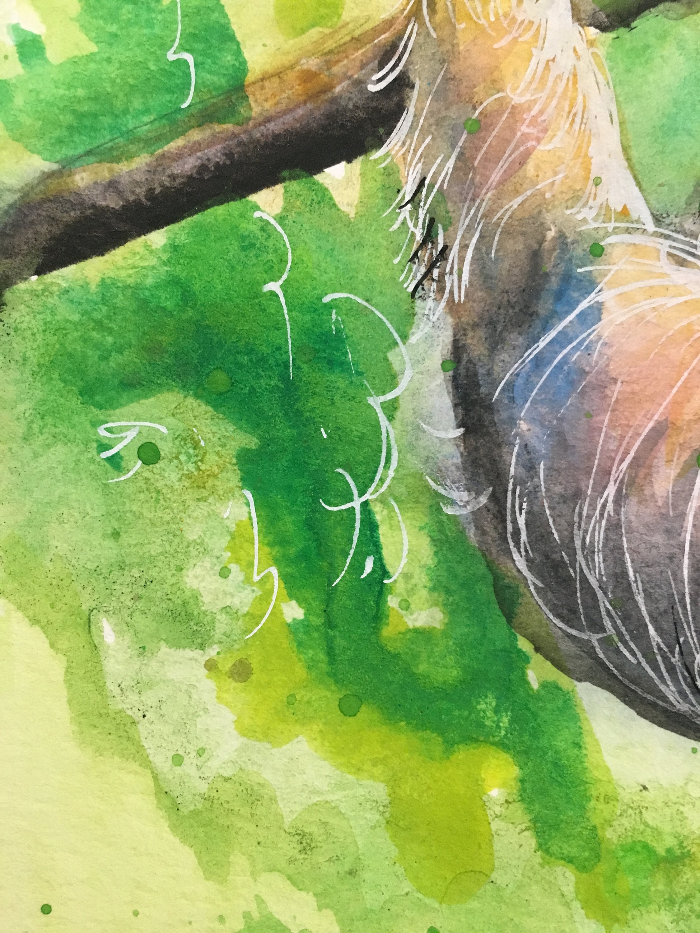 Watercolor Sloth Art Print by Bethany Kerr - Etsy