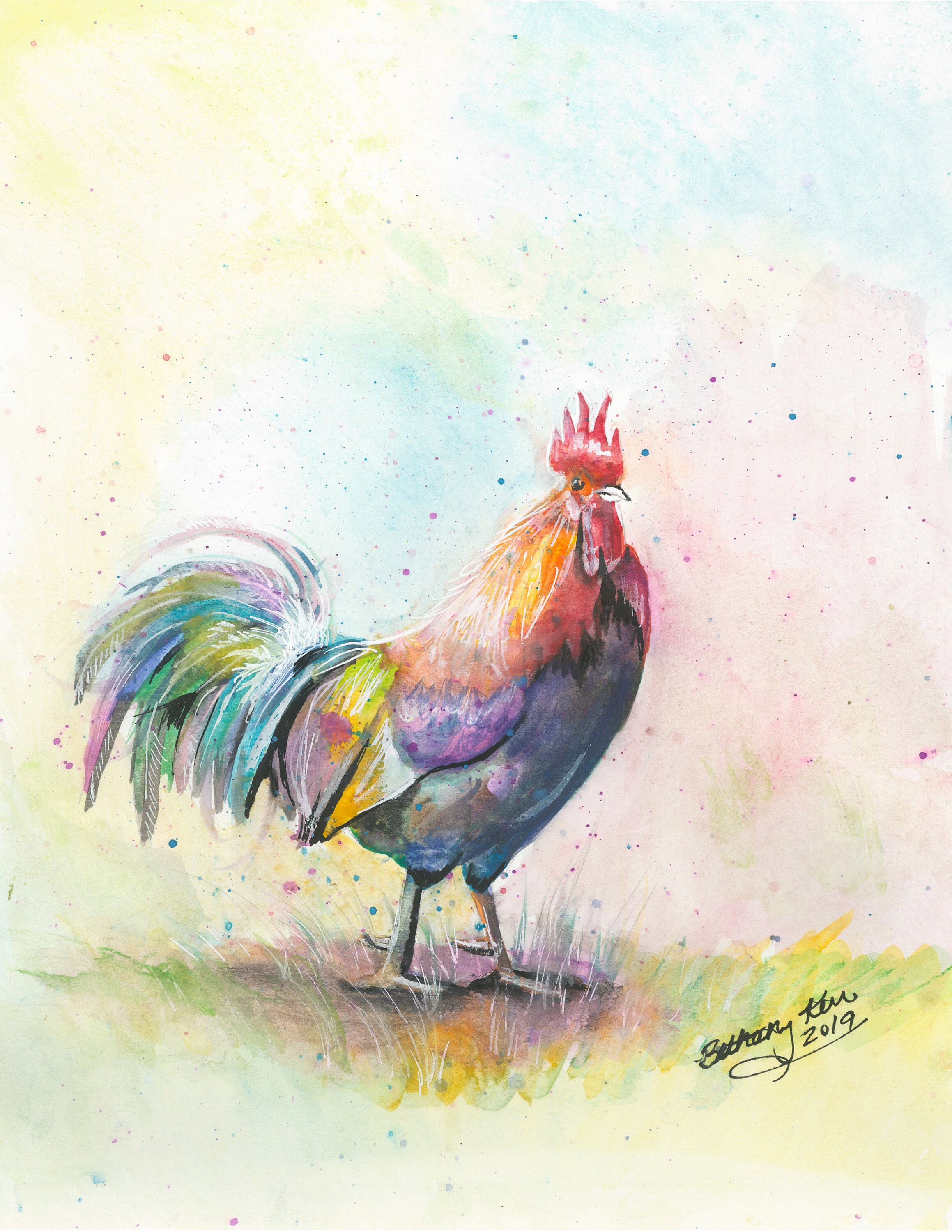 Watercolor Rooster Colorful Painting Art Print by Bethany Kerr - Etsy