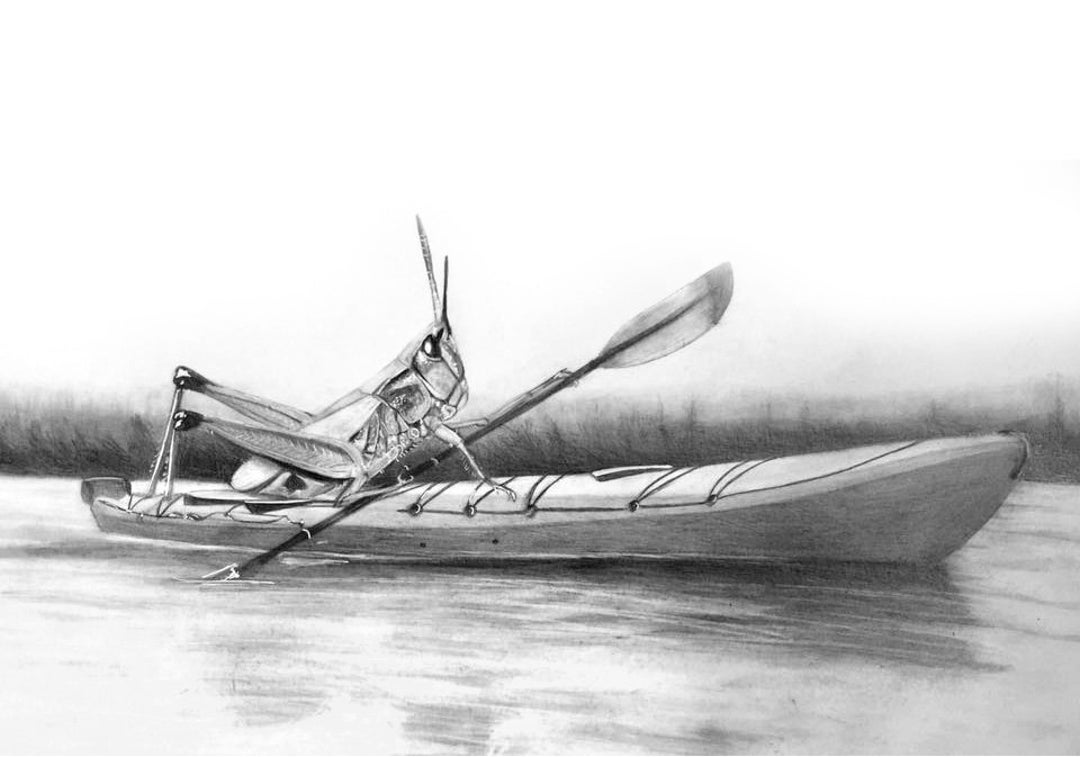 Pencil Drawing Art Print of "grasshopper Kayaking" by Bethany - Etsy
