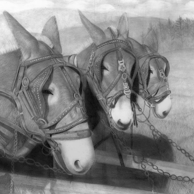 BethanyKerrFineArt - Etsy