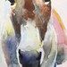 Donkey Watercolor Art Print by Bethany Kerr - Etsy
