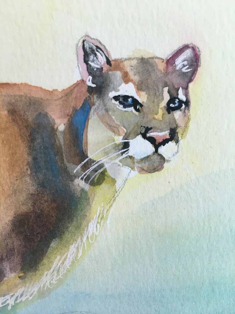 Watercolor Mountain Lion Art Print by Bethany Kerr | Etsy