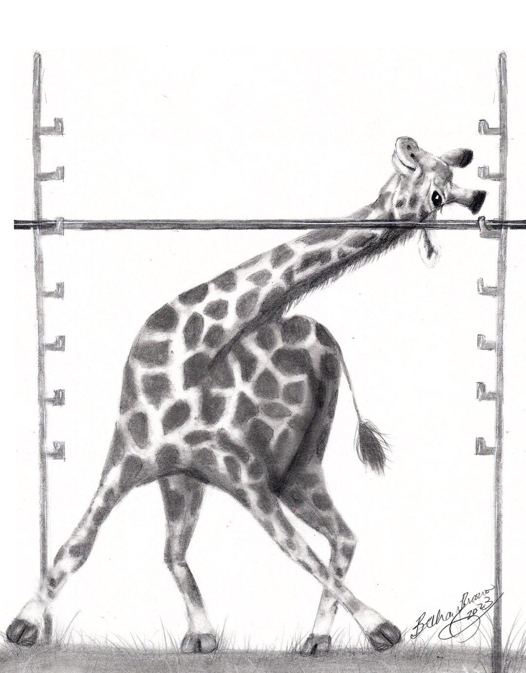 Pencil Artwork of Giraffe Doing the Limbo Game by Bethany - Etsy