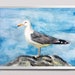 Watercolor Seagull Painting Art Print by Bethany Kerr - Etsy
