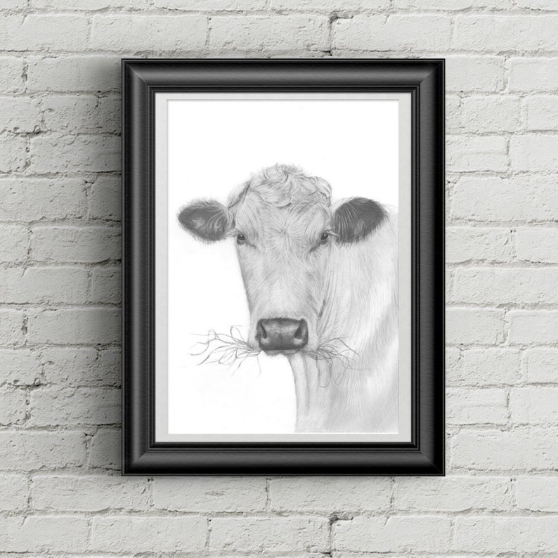 Detailed Cow Drawing Digital Download Art by Bethany - Etsy
