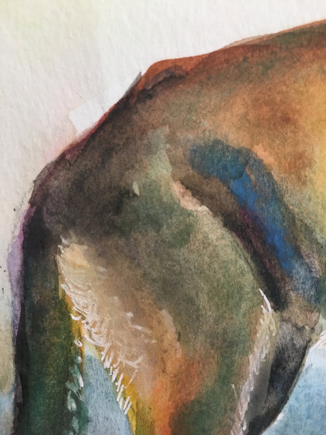 Watercolor Mountain Lion Art Print by Bethany Kerr - Etsy