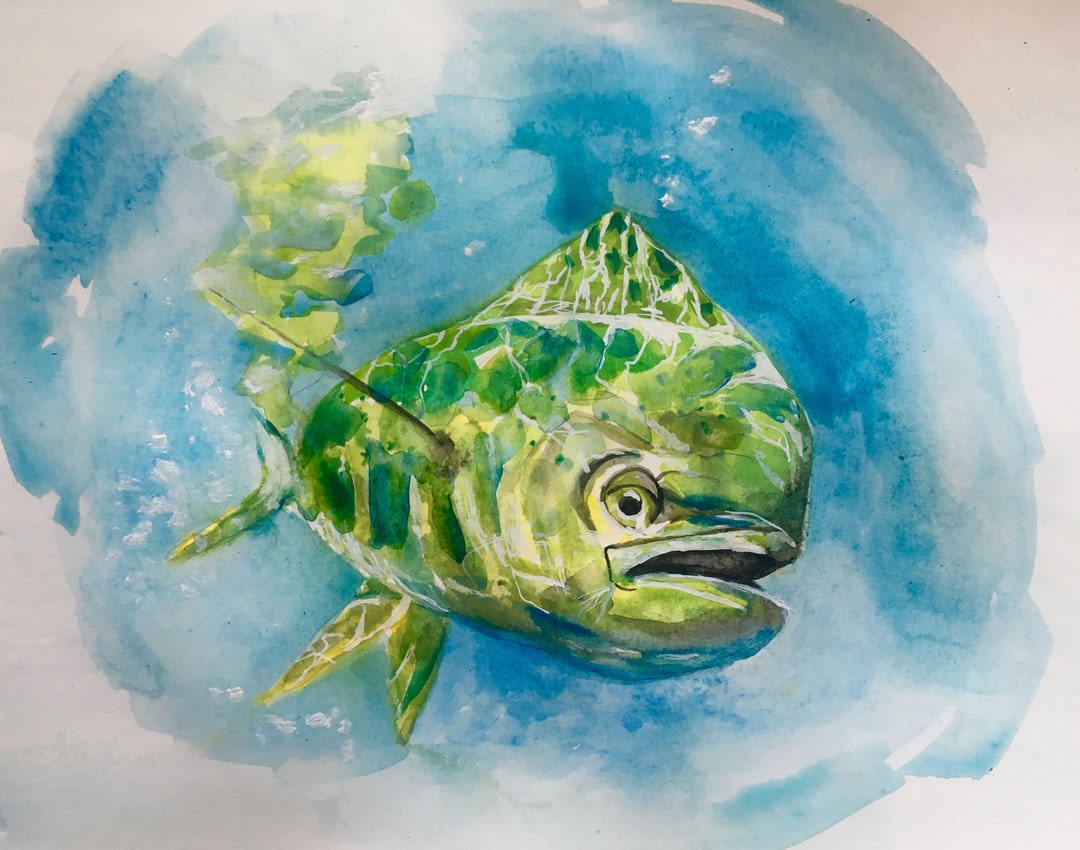 Watercolor Art Print of Mahi Mahi Dolphinfish - by Bethany Kerr - Etsy