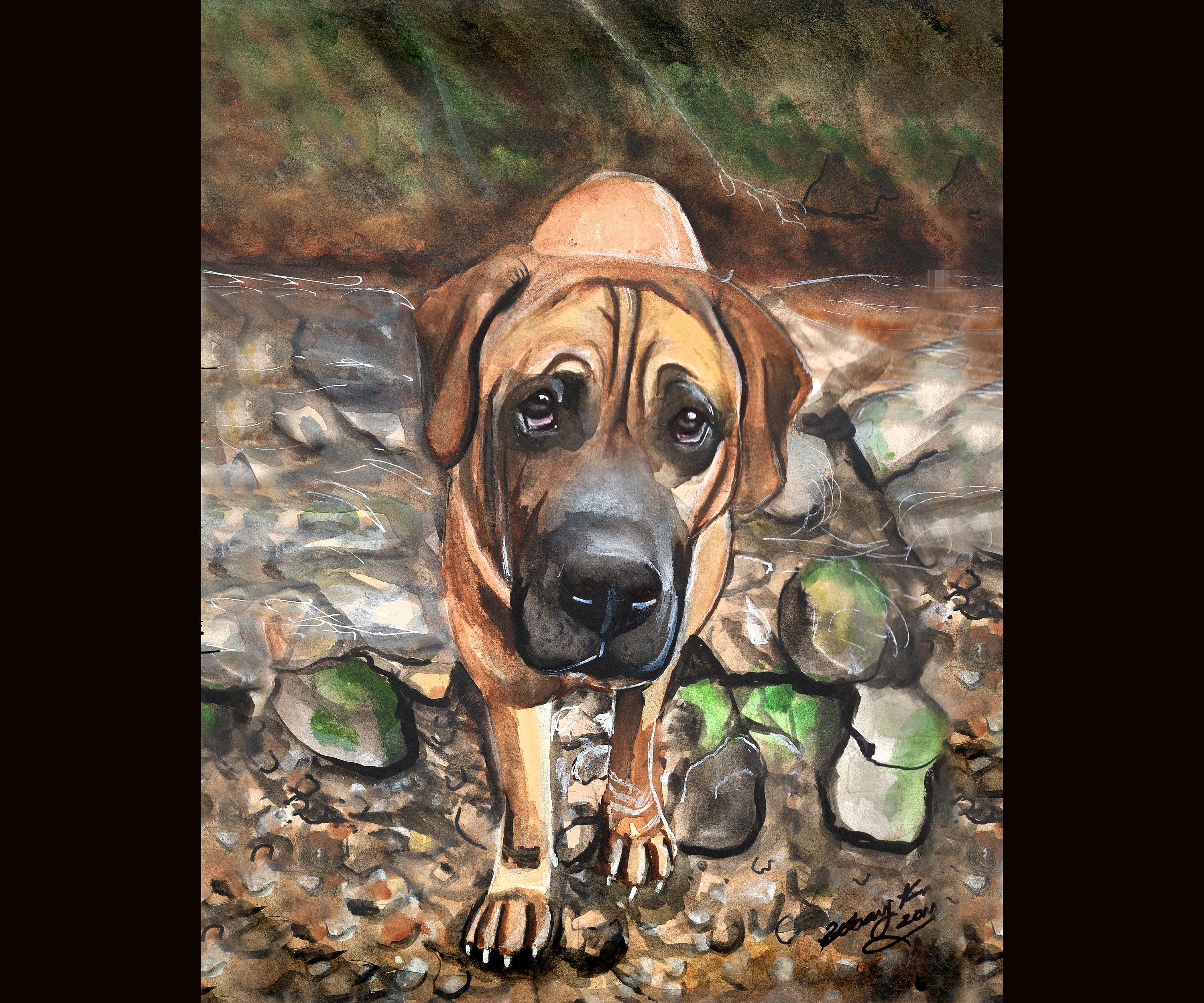 Can A Tosa Live In Turkey