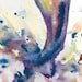 Watercolor Dolphin Colorful Art Print by Bethany Kerr - Etsy