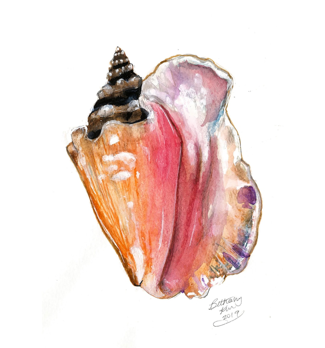 Beach Art Watercolor Queen Conch Shell Art Print by Bethany - Etsy