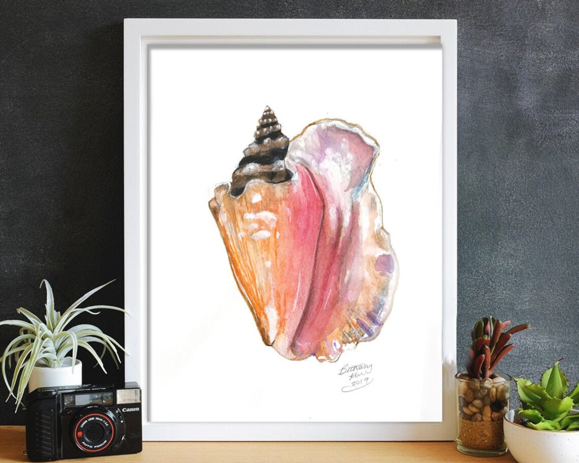 Beach Art Watercolor Queen Conch Shell Art Print by Bethany | Etsy