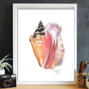 Beach Art Watercolor Queen Conch Shell Art Print by Bethany - Etsy