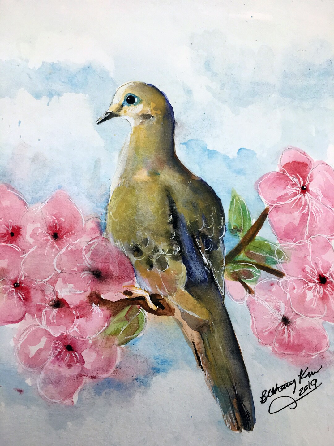 Watercolor Dove on Flowering Branch Art Print by Bethany - Etsy