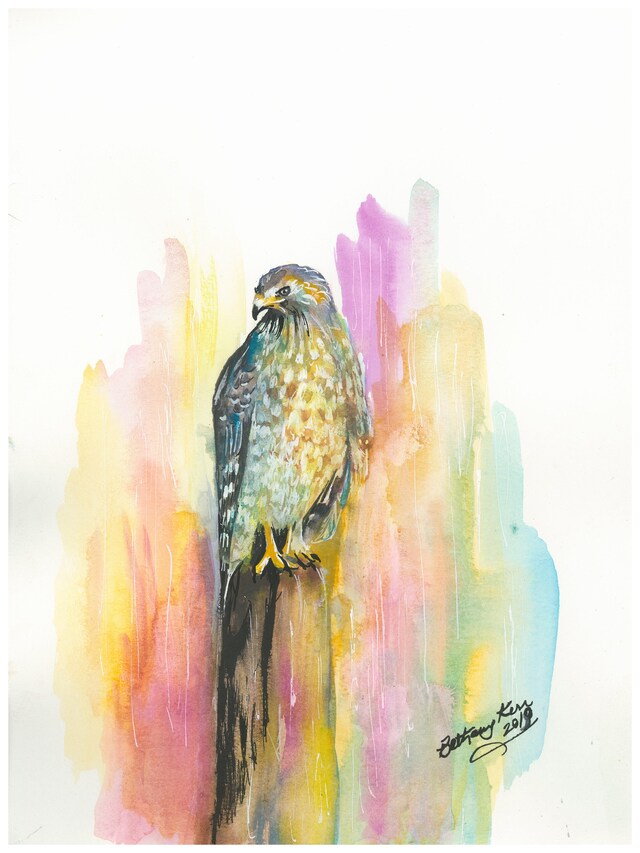 BethanyKerrFineArt - Etsy