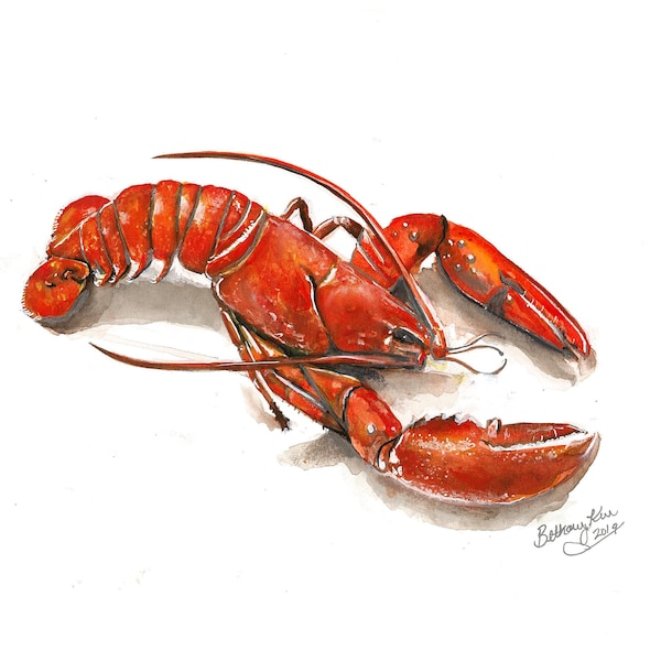 Red Lobster - Etsy