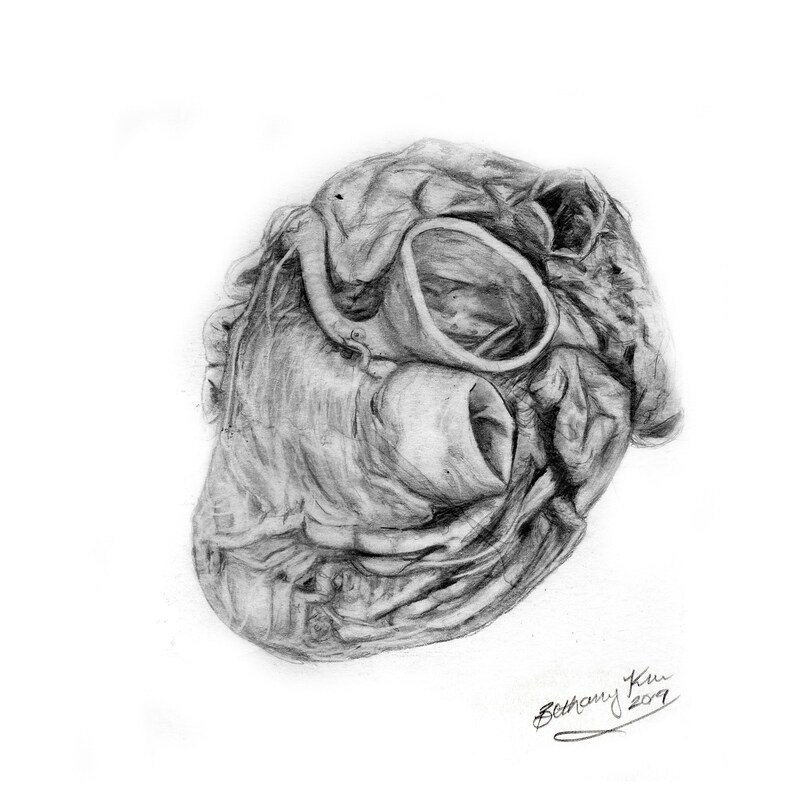 BethanyKerrFineArt - Etsy