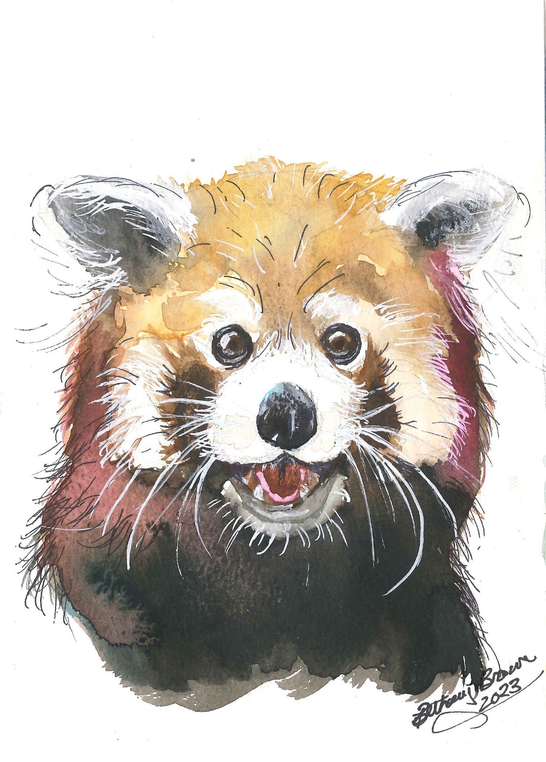 Watercolor Red Panda Digital Download Painting by Bethany - Etsy