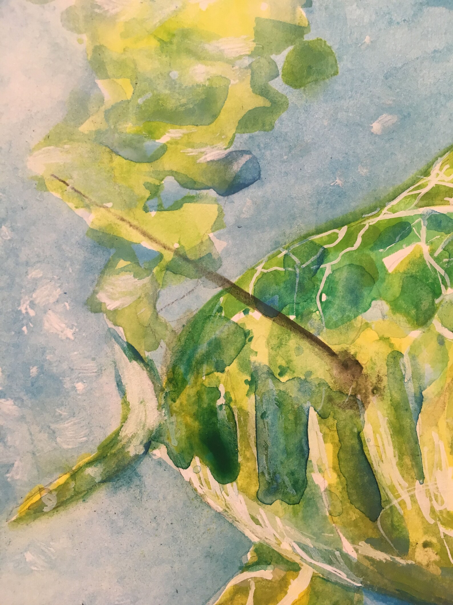 Mahi Mahi Dolphinfish Digital Download Art by Bethany Kerr - Etsy