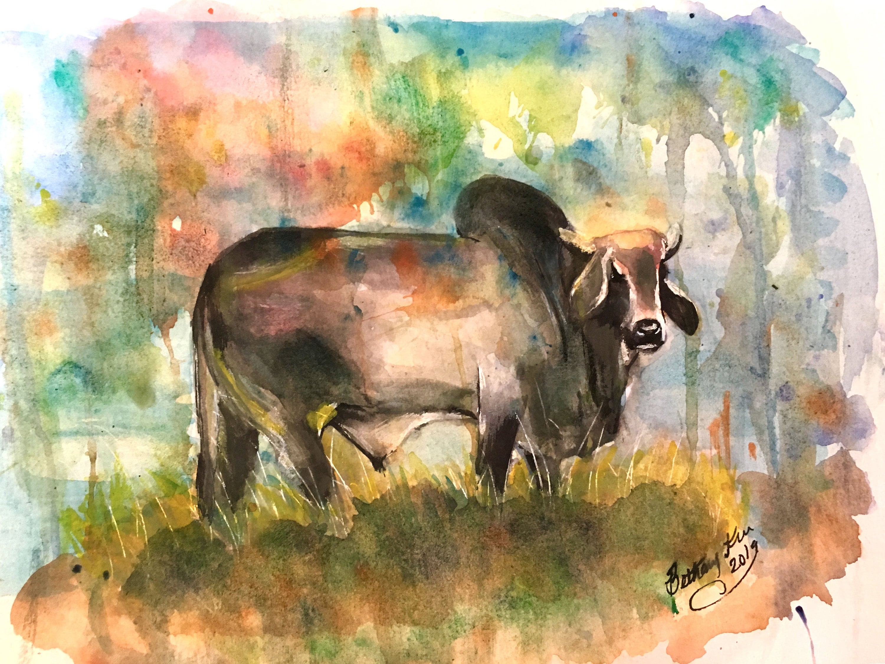 Watercolor Zebu Art Print by Bethany - Etsy