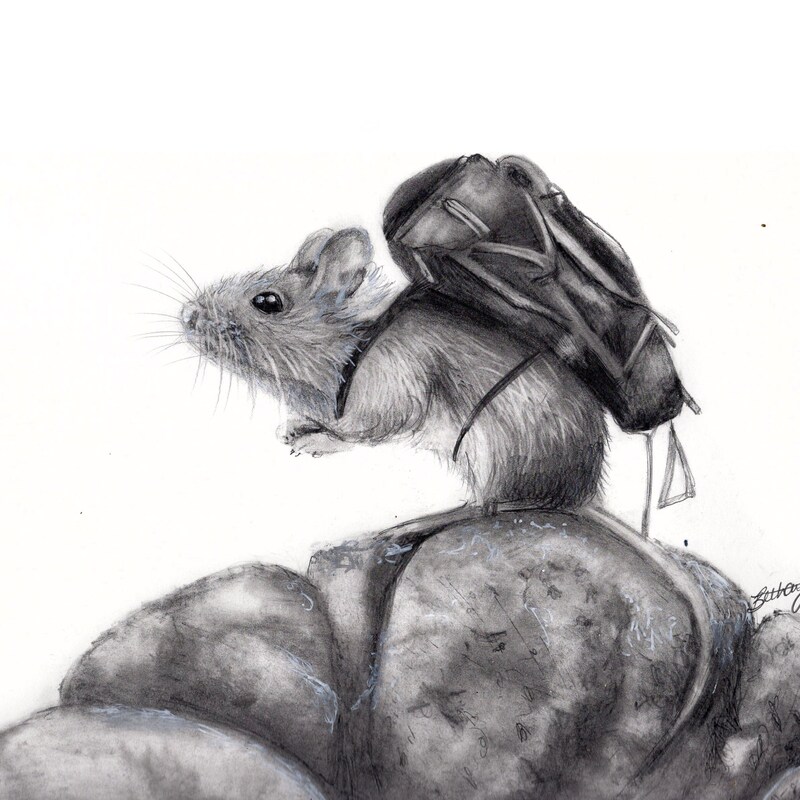 BethanyKerrFineArt - Etsy